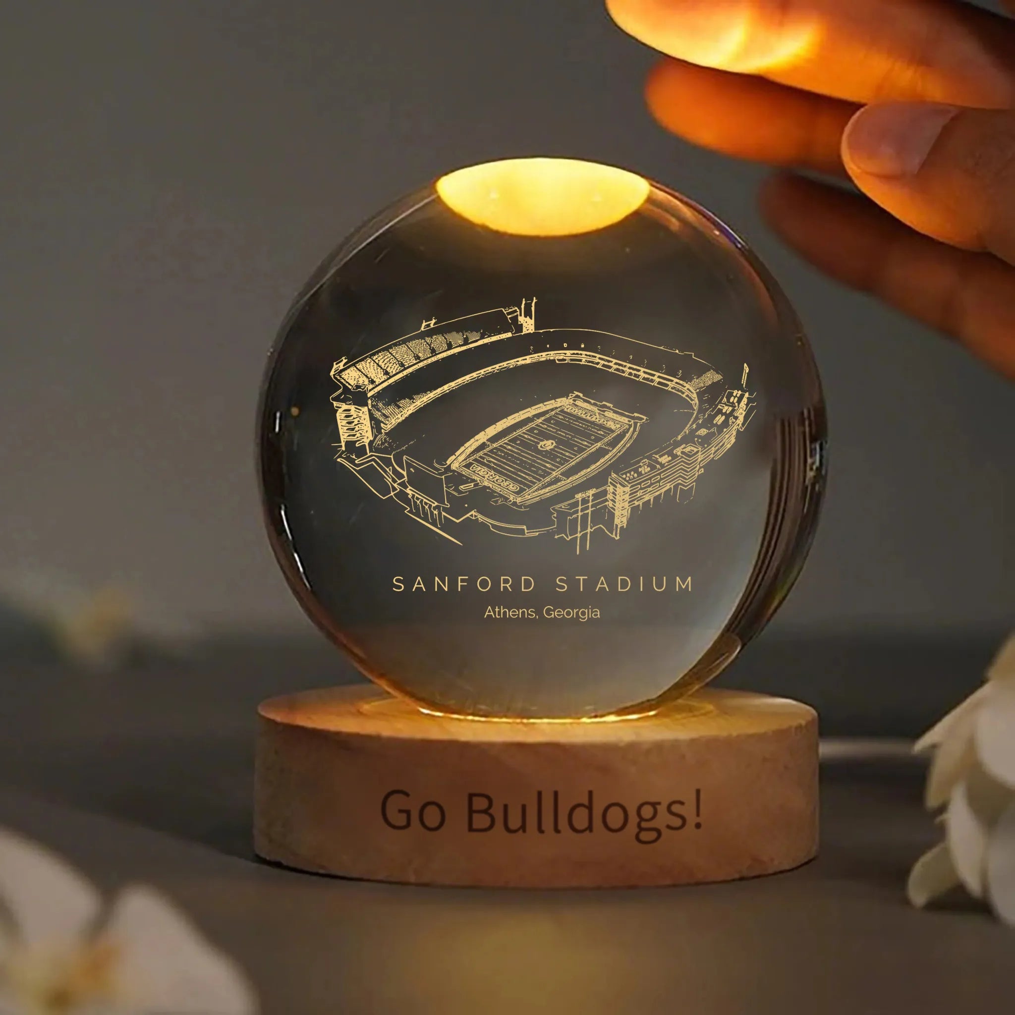 Sanford Stadium 3D Spherical Crystal Lamp Game Day Gift For Sports Fan ...