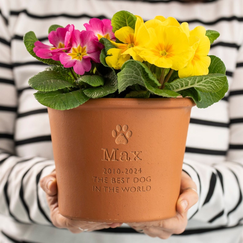 Personalised Engraved Pet Memorial Plant Pot, Custom Made Gift, Perfec ...